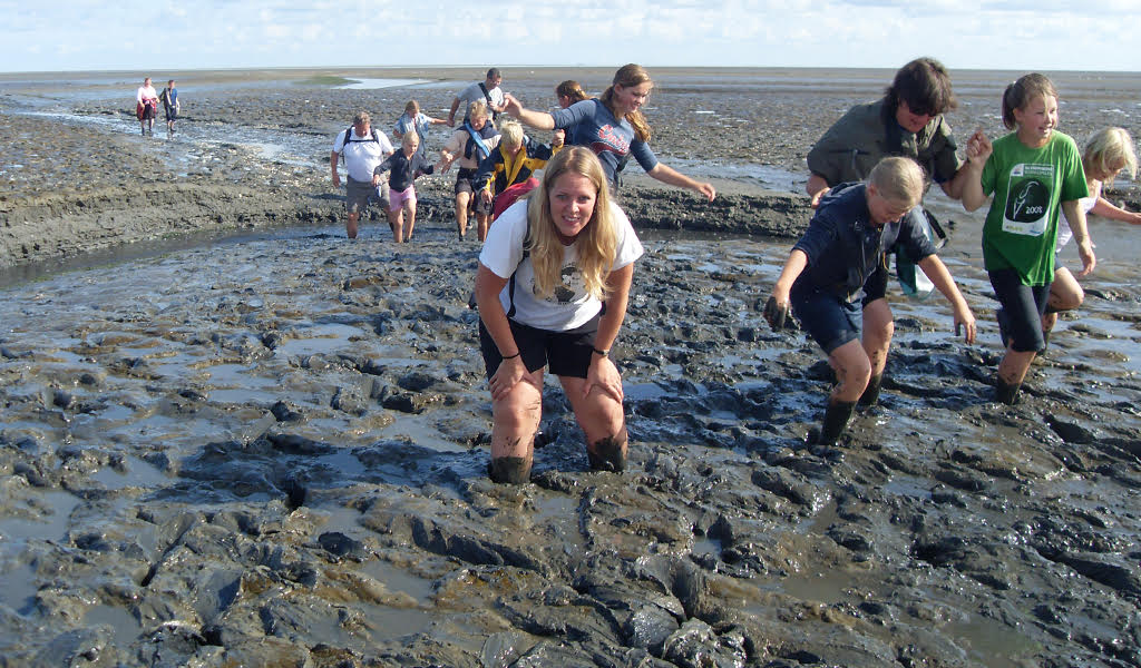 Wadlopen Pieterburen - Natuurlijk Noorden