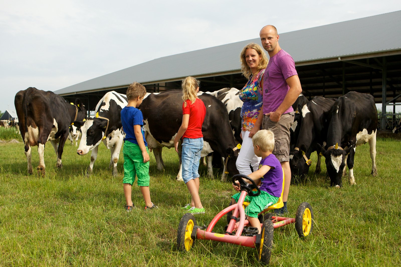 Koe en Jij Ten Boer - Natuurlijk Noorden